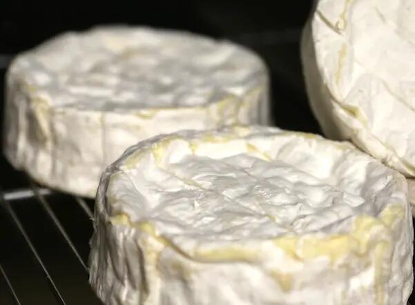 Fromage Camembert Le Rustique® - Qui veut du fromage