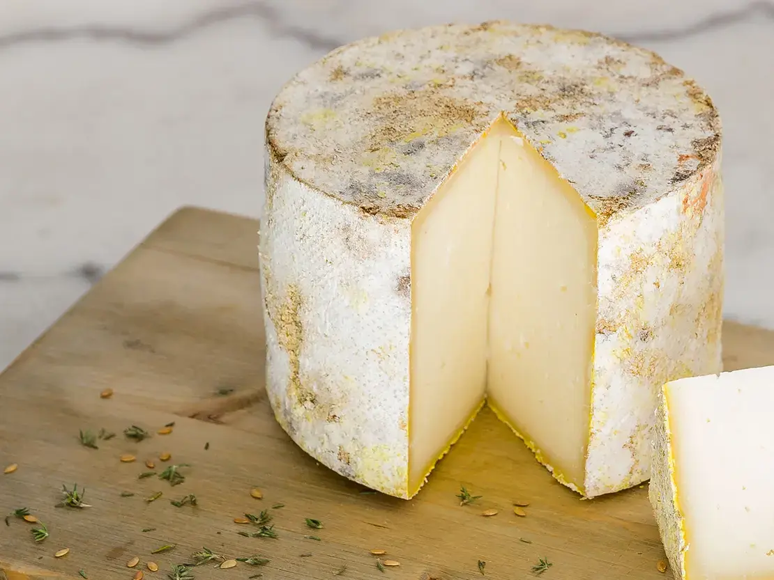 Fromage de brebis : liste, histoire et caractéristiques
