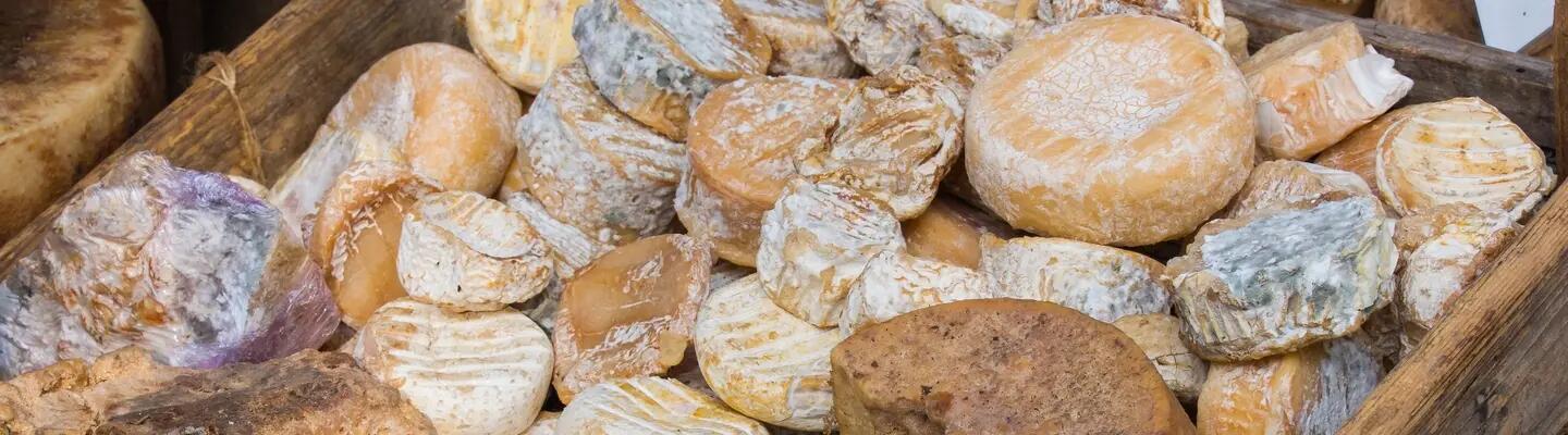 Le fromage aux artisous, qu’est-ce que c’est