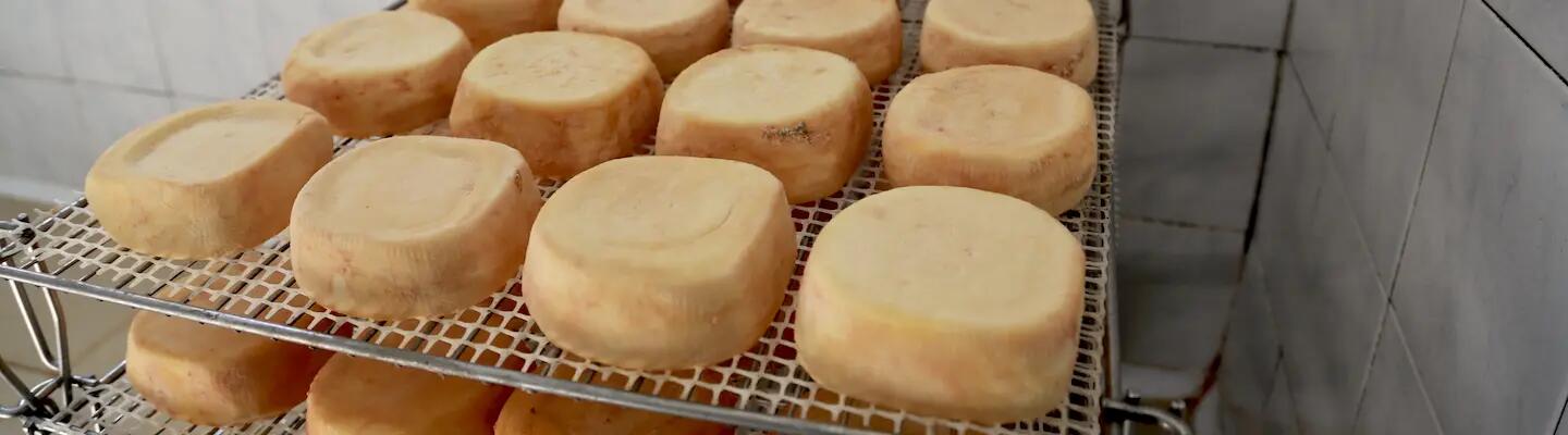 Fromage Niolo - Qui veut du fromage