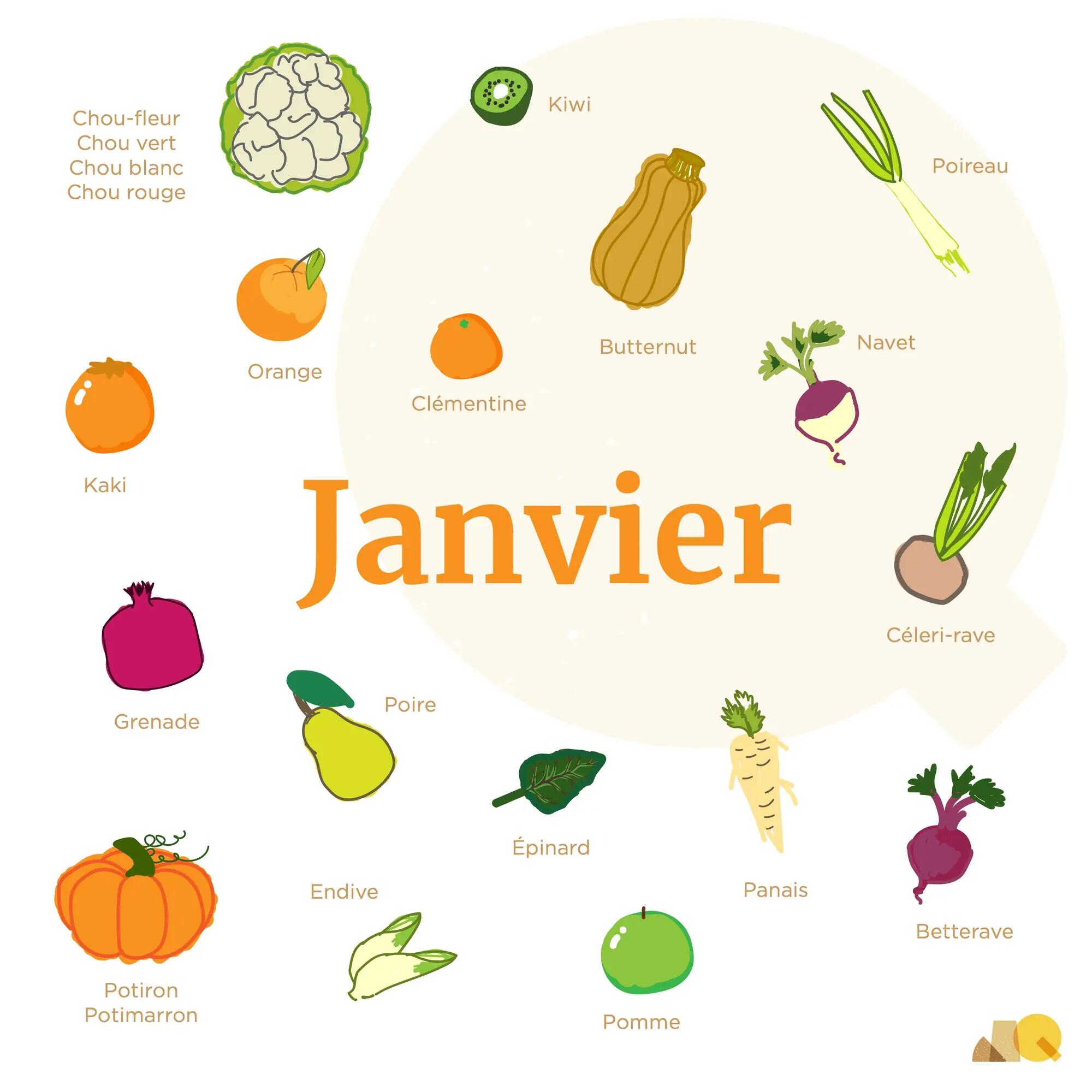 Calendrier des fruits et légumes de saison