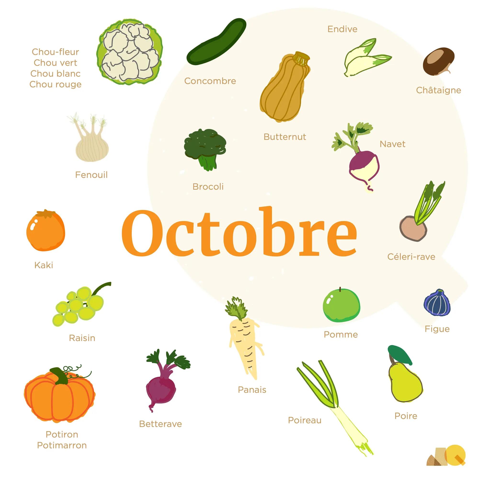 Calendrier des fruits et légumes de saison
