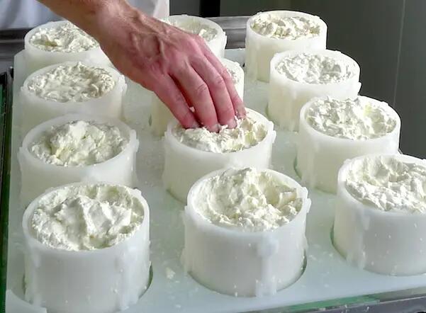 Fromage Chaource AOP - Qui veut du fromage