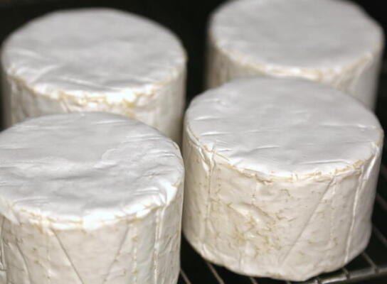 Le Mottin Crémeux®