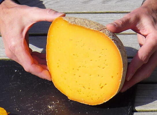 Fromage Mimolette - Qui veut du fromage